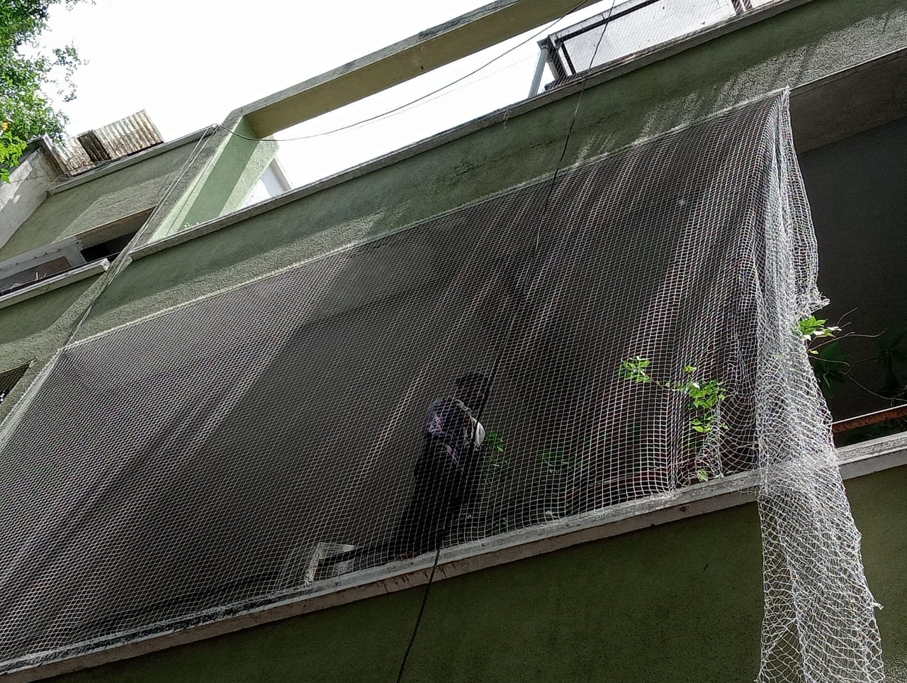Kohinoor Bird Netting